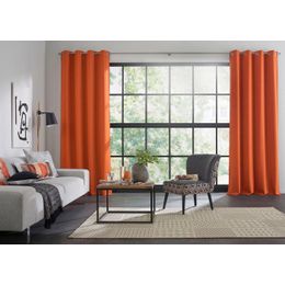 Vorhang Dim out, WIRTH, Ösen (1 St), verdunkelnd, orange