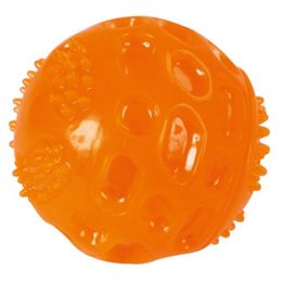Kerbl Tierball Ball ToyFastic Squeaky Ø 7
