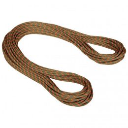 Mammut - 8.0 Alpine Dry Rope - Halbseil Länge 60 m braun