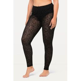 Ulla Popken Feinstrumpfhose Leggings Mesh Leomuster