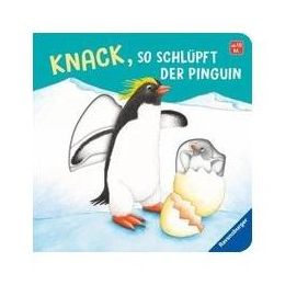 Ravensburger Knack, so schlüpft der Pinguin