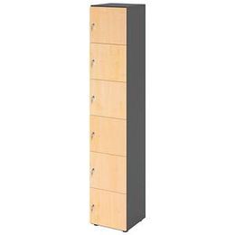 Hammerbacher Schließfachschrank grafit, ahorn V264L6/G/3/DS, 6 Schließfächer 40,0 x 42,0 x 215,6 cm