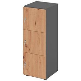 Hammerbacher Schließfachschrank grafit, asteiche V234L3/G/R/DS, 3 Schließfächer 40,0 x 42,0 x 110,0 cm