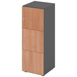 Hammerbacher Schließfachschrank grafit, nussbaum V234L3/G/N/DS, 3 Schließfächer 40,0 x 42,0 x 110,0 cm