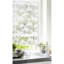 Neusser Collection - Bändchenrollo Blumenmotiv, weiß, 120 x 60 cm Bistrogardinen