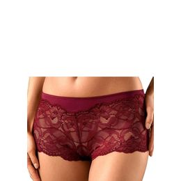 Vivance Große Größen: Panty, bordeaux+schwarz, Gr.56/58