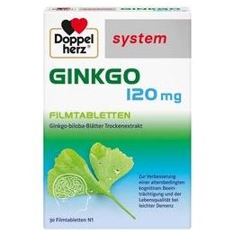 Queisser Doppelherz Ginkgo 120 mg system Filmtabletten 30 St