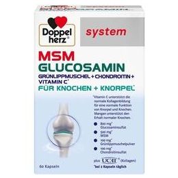 Queisser Doppelherz MSM Glucosamin system Kapseln 60 St