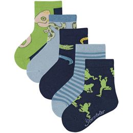 Sterntaler - Socken FROSCH 5er Pack in marine, Gr.19-22