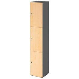 Hammerbacher Schließfachschrank grafit, ahorn V264L3/G/3/DS, 3 Schließfächer 40,0 x 42,0 x 215,6 cm