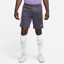 Liverpool FC Strike Third Nike Dri-FIT Fußballshorts aus Strickmaterial für Herren - Grau