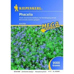 Kiepenkerl - Gründünger Phacelia 2kg - 615762