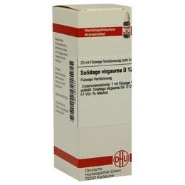 DHU-Arzneimittel Solidago Virgaurea D 12 Dilution 20 ml