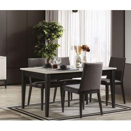 JVmoebel Esszimmer-Set Esszimmer Set Design Möbel Luxus Tisch und 4x Stühle Garnitur 5tlg