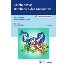 THIEME Taschenatlas Biochemie des Menschen - Jan Koolman, Klaus-Heinrich Röhm, Kartoniert (TB)