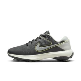 Nike Victory Pro 3 Herren-Golfschuh - Grau