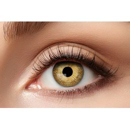 Eyecatcher Farblinsen Gold Kontaktlinsen goldene Farblinsen verschiedene Designs