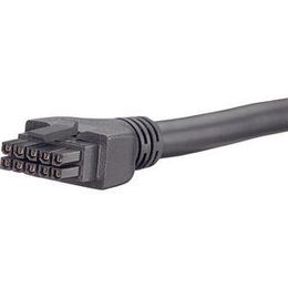 Molex Umspritzte Kabelkonfektion, Micro-Fit 3.0 Buchse - Micro-Fit 3.0 Buchse, 10 Positionen, 2m, Schwarz - 245132-1020