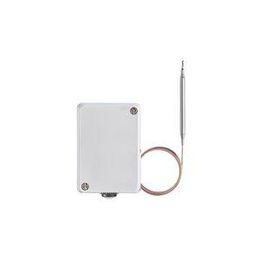 Jumo Thermostat - 603021/02-2-064-30-1000-40-10-00-00-000-