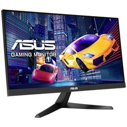 ASUS VY229HE Eye Care LCD-Monitor EEK E (A - G) 54.4 cm (21.4 Zoll) 1920 x 1080 Pixel 16:9 1 ms HDMI®, Kopfhörer (3.5 mm Klinke), VGA IPS LCD