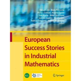 Springer European Success Stories in Industrial Mathematics, Kartoniert (TB)