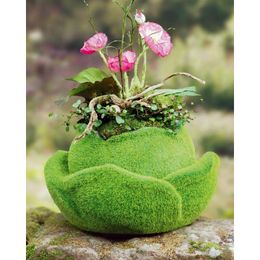 Pflanzer Moos-Rose aus Fiberglas, 30x17 cm, Pflanzgefäß, Blumentopf, Pflanztopf, Pflanzgefäß, Gartendeko für Draußen