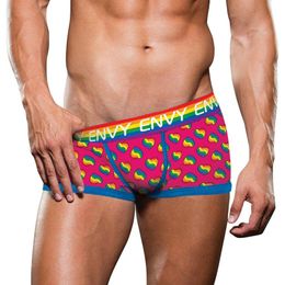 ENVY Rainbow Hearts Trunk