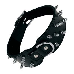 GLORIA Hundeleine Hundehalsband GLORIA Schwarz Spikes 60 cm