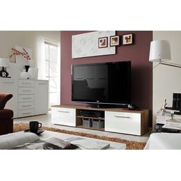JVmoebel TV-Schrank TV Ständer RTV Lowboard Regale Sideboard Wohnzimmermöbel Modern Luxus (1-St.