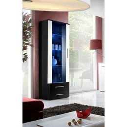 JVmoebel Vitrine Designer Wohnzimmer Möbel Holz Vitrinen Glas Regal Schrank Schwarz (1-St.