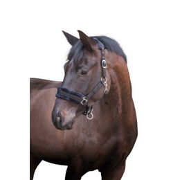 Kerbl Halfter Halfter mit Webpelz Größe Pony schwarz 328261
