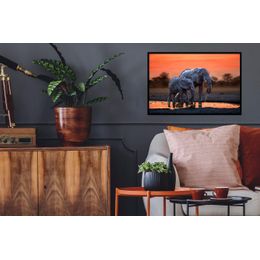 MuchoWow Poster Elefant - Tiere