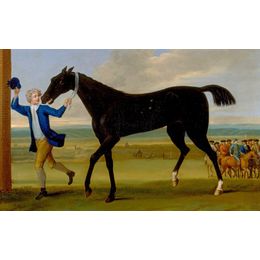 Kunstdruck The Duke of Rutlands Bonny Black John WoOTTOn Schwarzes Pferd Tiere B, (1 St)