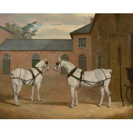 OTTO Kunstdruck Grey carriage horses Zugpferde Kutsche Tiere Herring Scheuklappen B A3, (1 St)