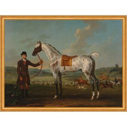 OTTO Kunstdruck Scipio, a spotted hunter Thomas Spencer Colonel Roche Pferde B A2 0005, (1 St)