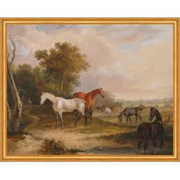 OTTO Kunstdruck Horses Grazing: a Grey Stallion Pferde Tiere Turner Weide B A2 00015 G, (1 St)