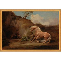 OTTO Kunstdruck Horse Frightened by a Lion Stubbs Tiere Wüste Scheu Angst B A2 00028 G, (1 St)