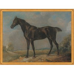 OTTO Kunstdruck Constables Black Riding Horse Golding Pferde Tiere Weide Meer Hufe B A, (1 St)