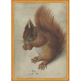 OTTO Kunstdruck Red Squirrel Hans Hoffmann Eichhörnchen Tiere Schweif Nager B A2 02199, (1 St)