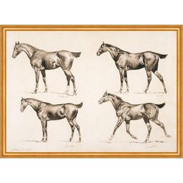 OTTO Kunstdruck Types of Saddle Horses Frederic Remington Pferde Tiere B A2 01934 Gera, (1 St)