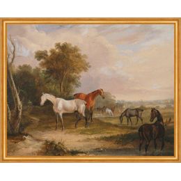 OTTO Kunstdruck Horses Grazing: a Grey Stallion Grazing with Mares Turner Pferde B A2, (1 St)