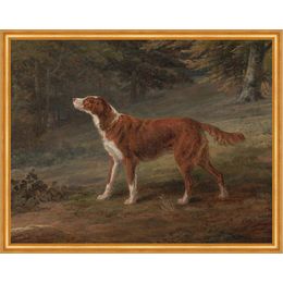 OTTO Kunstdruck Ranger, a setter, the property of Elizabeth Gray George Garrard Hund B, (1 St)
