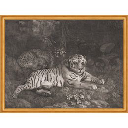 OTTO Kunstdruck A Tiger and a Sleeping Leopard George Stubbs Tiger Leopard Tiere B A1, (1 St)