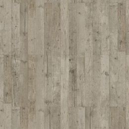 Classen Vinylboden 'Green Vinyl 4.0' Pinie piniefarben 4 mm