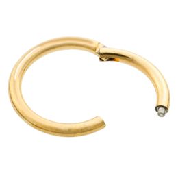 Paletti Single-Creole Klicker Segmentring Septum-Helix-Tragus und Ohrläppchen, goldfarben