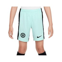 Nike Sporthose FC Chelsea London Short Away 2023/2024 Kids
