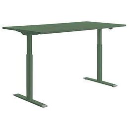 Topstar E-Table elektrisch höhenverstellbarer Schreibtisch mintgrün rechteckig, T-Fuß-Gestell grün 160,0 x 80,0 cm