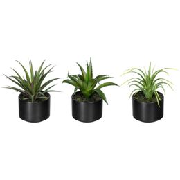 Künstliche Zimmerpflanze Set aus Aloe, Agave und Tillandsie Sukkulente, Creativ green, Höhe 15 cm, im Keramiktopf, 3er Set, grün