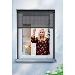 Insektenschutzrollo für Fenster, Schellenberg, verschraubt, Fliegengitter, 130 x 160 cm, anthrazit, 70893, grau