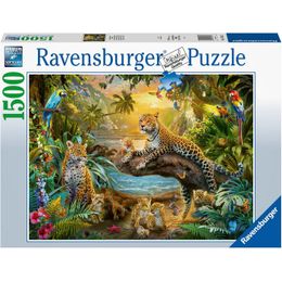 Ravensburger Puzzle Leopardenfamilie im Dschungel, 1500 Puzzleteile, Made in Germany; FSC® - schützt Wald - weltweit, bunt